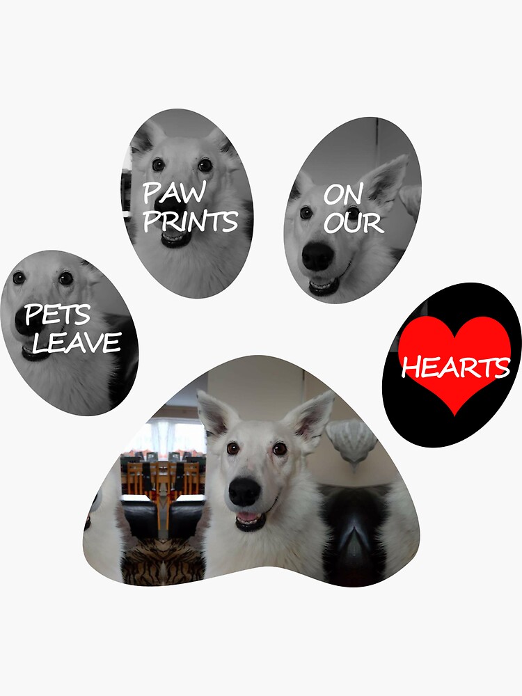 "Tilly - Dog" Sticker by gemzysworld | Redbubble