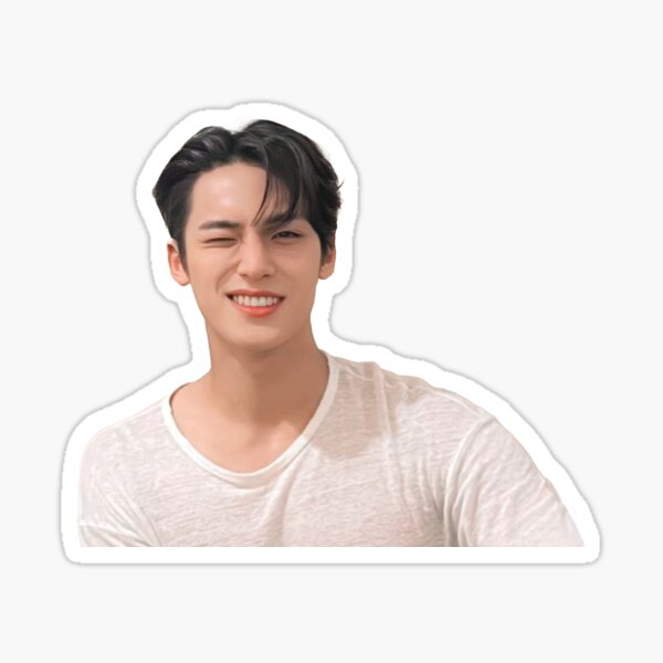 "Seventeen Mingyu" Sticker for Sale by kpopnow | Redbubble