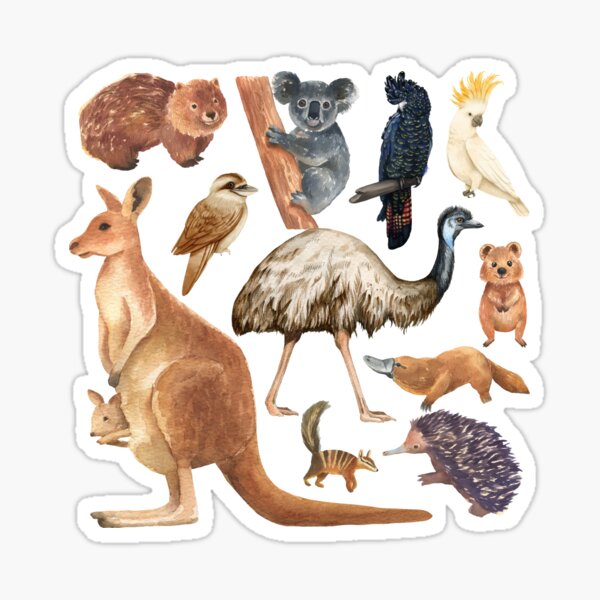 "Australian favourite wildlife" Sticker for Sale by Jaruart | Redbubble