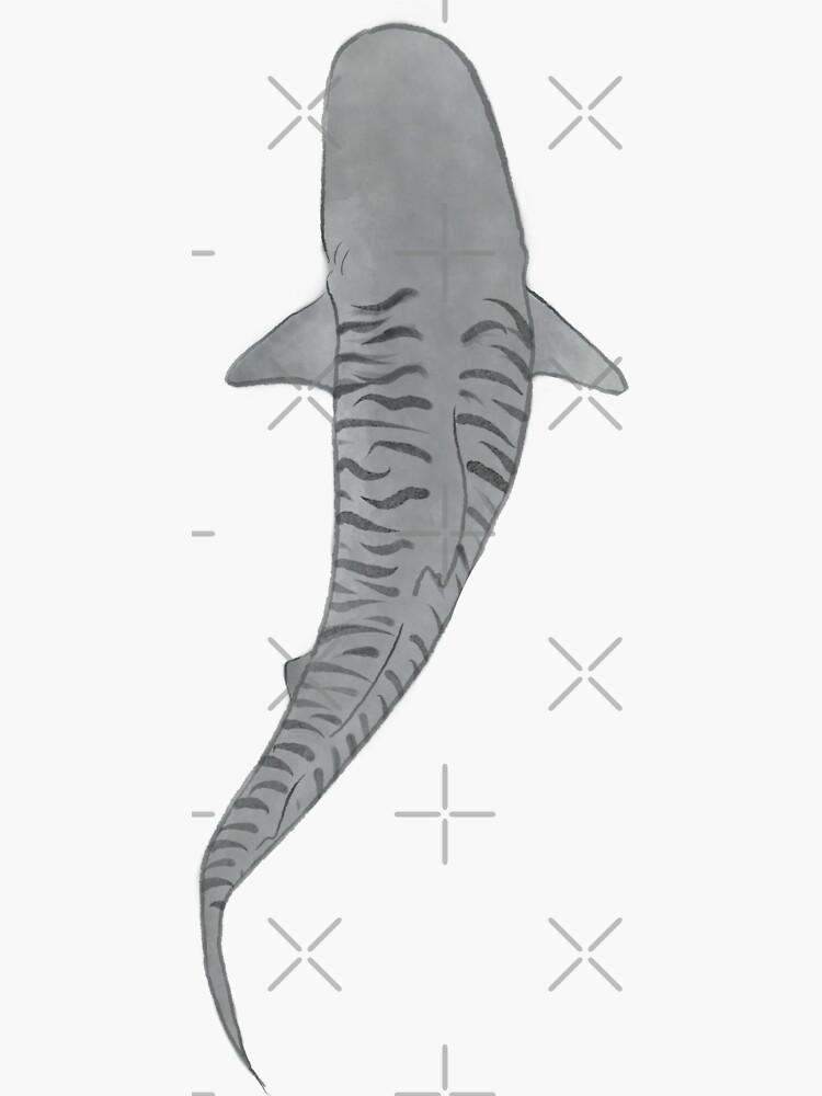 "Tiger Shark" Sticker for Sale by TheBeeGee | Redbubble