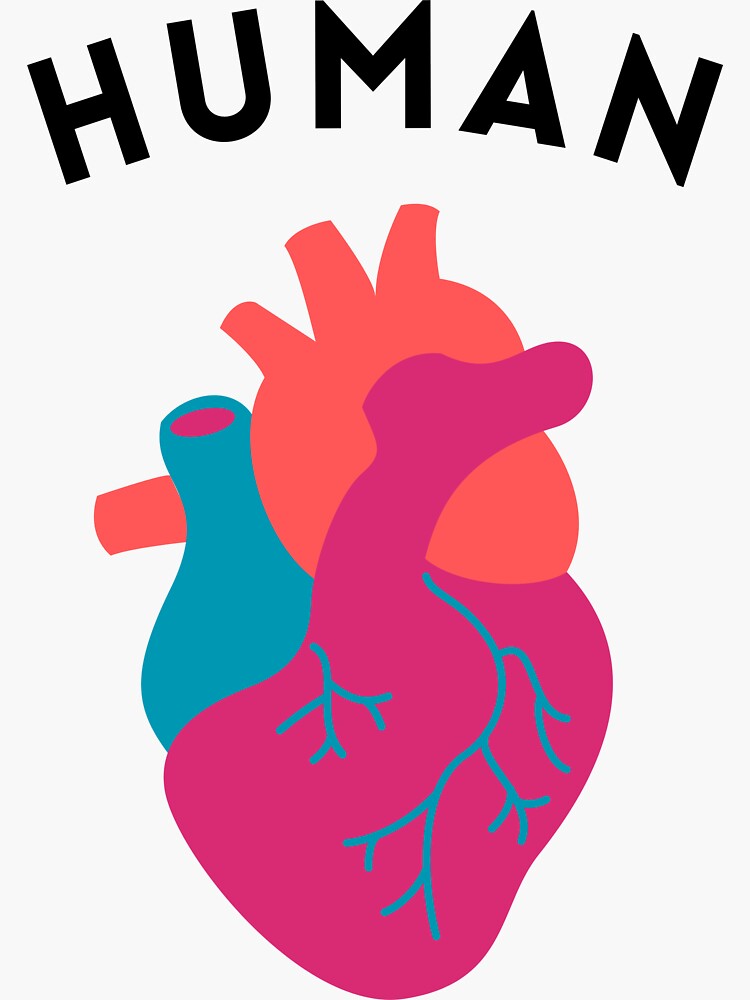 "Human Heart" Sticker for Sale by ColorPortrait | Redbubble