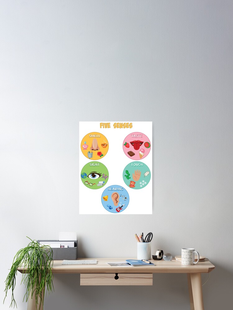 "Five Senses Poster, 5 Senses Classification Game, Preschool ...