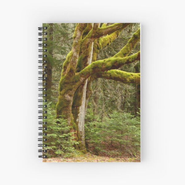 "LARGE MOSS COVERED TREE" Spiral Notebook for Sale by elainebawden ...