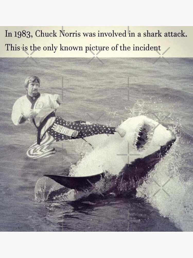 "Chuck Norris Shark Attack Funny" Sticker for Sale by ThatMemeDude ...