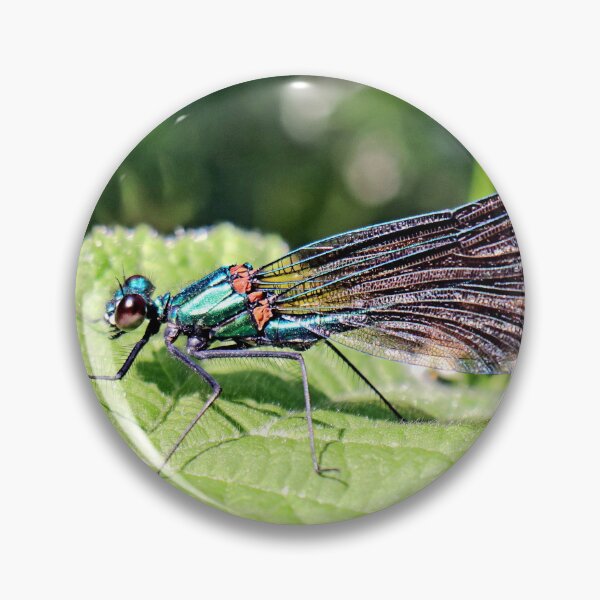 Damsel Merch & Gifts for Sale | Redbubble