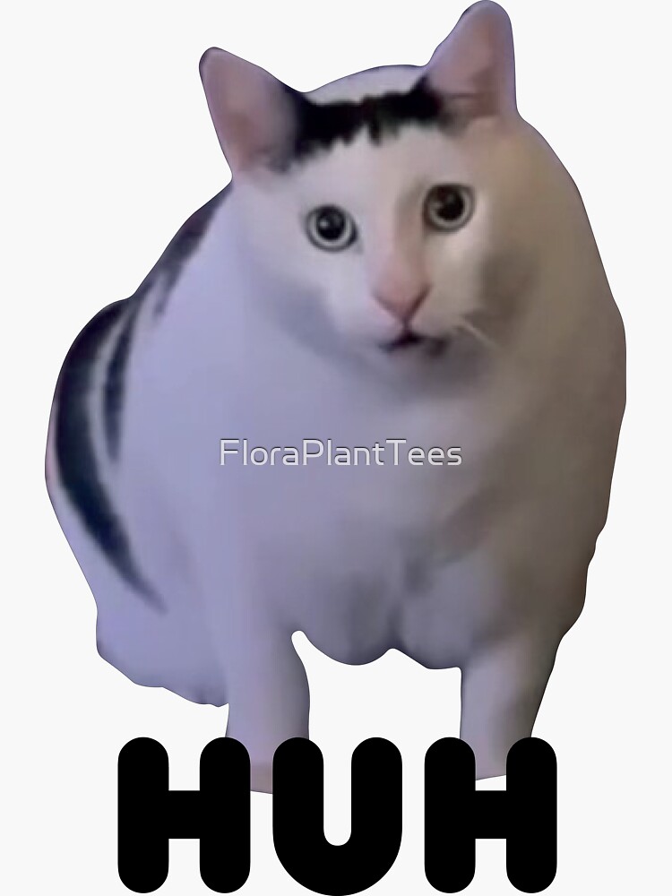 "Huh Cat Meme" Sticker for Sale by FloraPlantTees | Redbubble