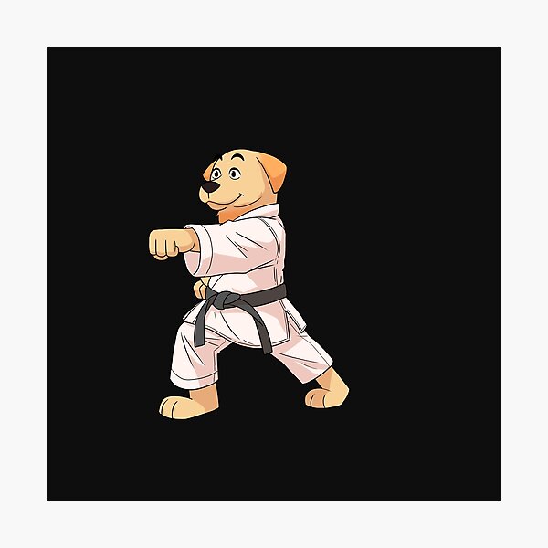 Karate Dog Quotes