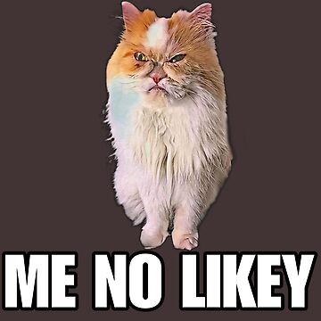 "Me No Likey Finicky Cat Meme" Sticker for Sale by CMooreWorx | Redbubble