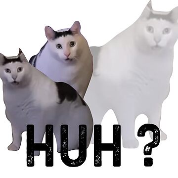 "Huh Cat Meme" Sticker for Sale by FloraPlantTees | Redbubble