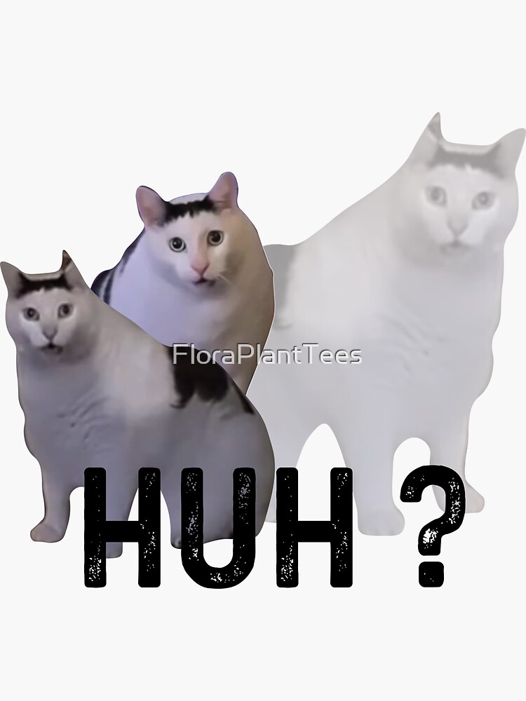 "Huh Cat Meme" Sticker for Sale by FloraPlantTees | Redbubble