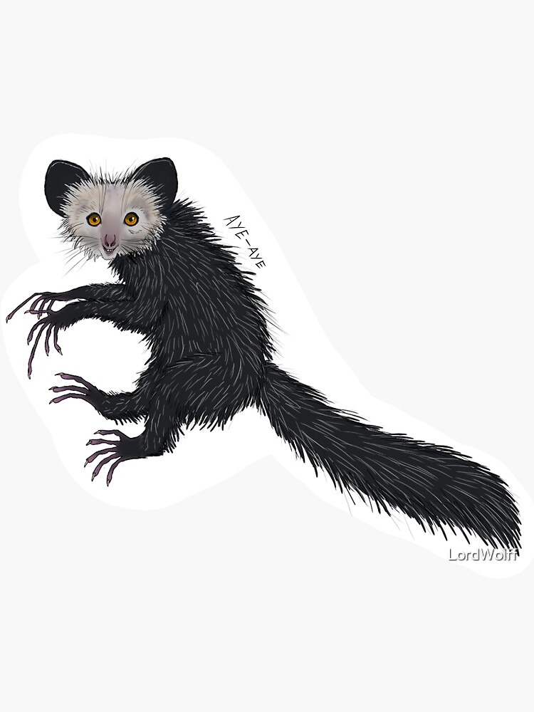 "aye-aye " Sticker for Sale by LordWolff | Redbubble