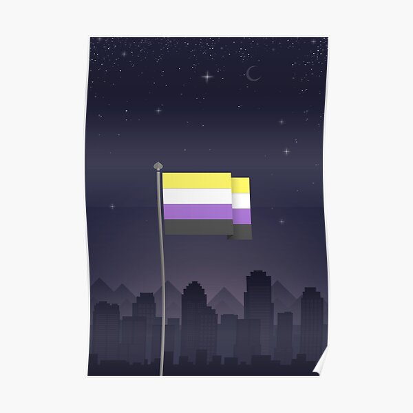 "Non-Binary" Poster for Sale by FunFlags | Redbubble