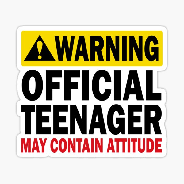 "13 Years Old Official Teenager Warning Teens 13th Birthday" Sticker ...