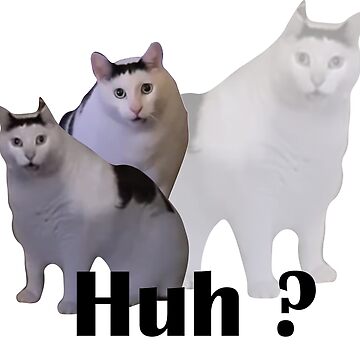 "Huh Cat Meme" Sticker for Sale by FloraPlantTees | Redbubble