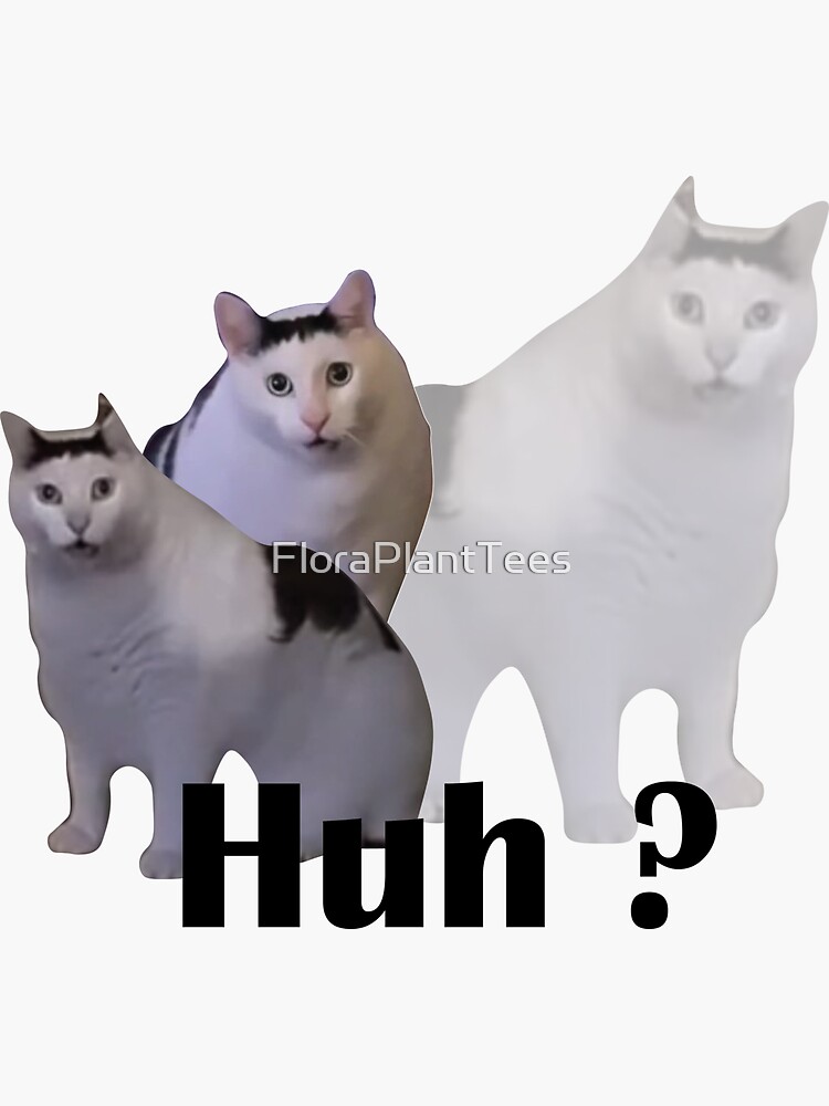 "Huh Cat Meme" Sticker for Sale by FloraPlantTees | Redbubble