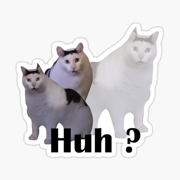 "Huh Cat Meme" Sticker for Sale by FloraPlantTees | Redbubble