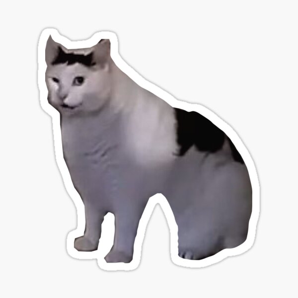 "Huh Cat Meme" Sticker for Sale by FloraPlantTees | Redbubble