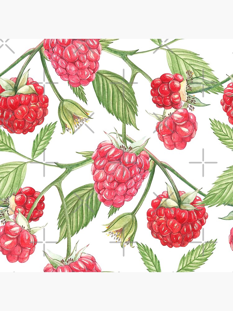 " Raspberry" Throw Pillow for Sale by Asetrova | Redbubble