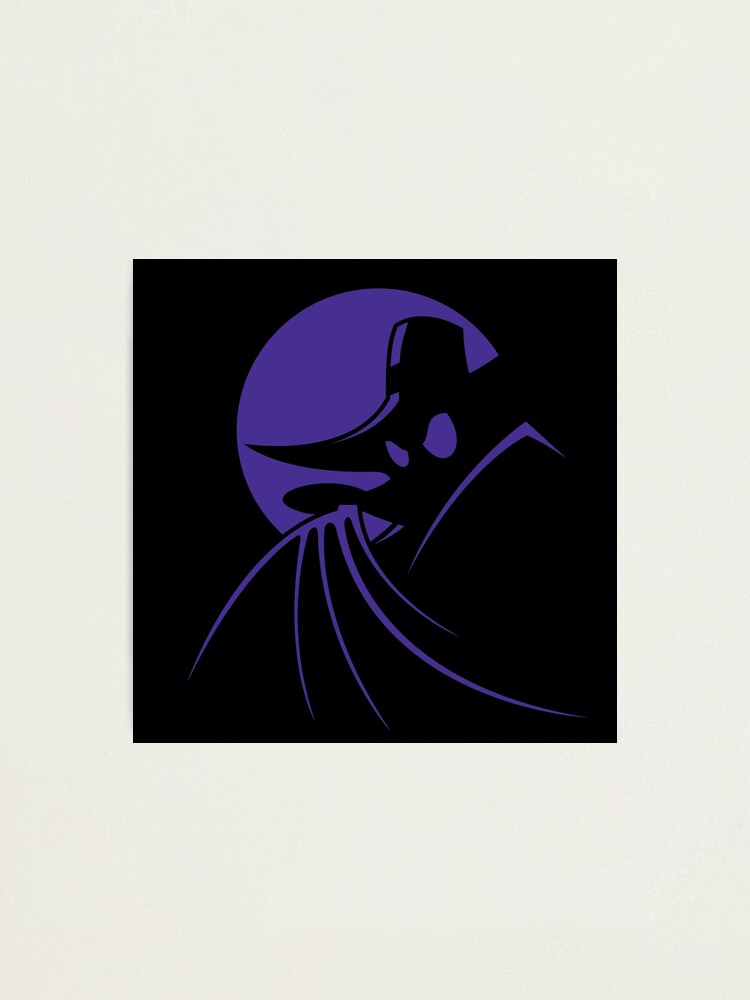 "The Terror That Flaps in the Night - Darkwing Duck" Photographic Print ...