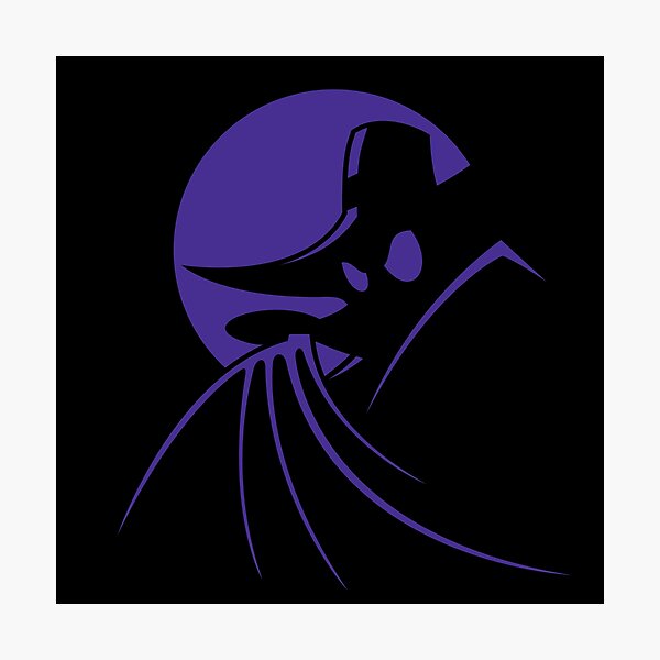 "The Terror That Flaps in the Night - Darkwing Duck" Photographic Print ...