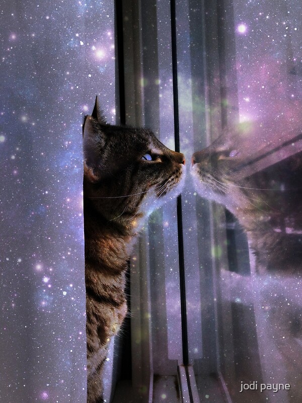 "Space kitty" by jodi payne | Redbubble