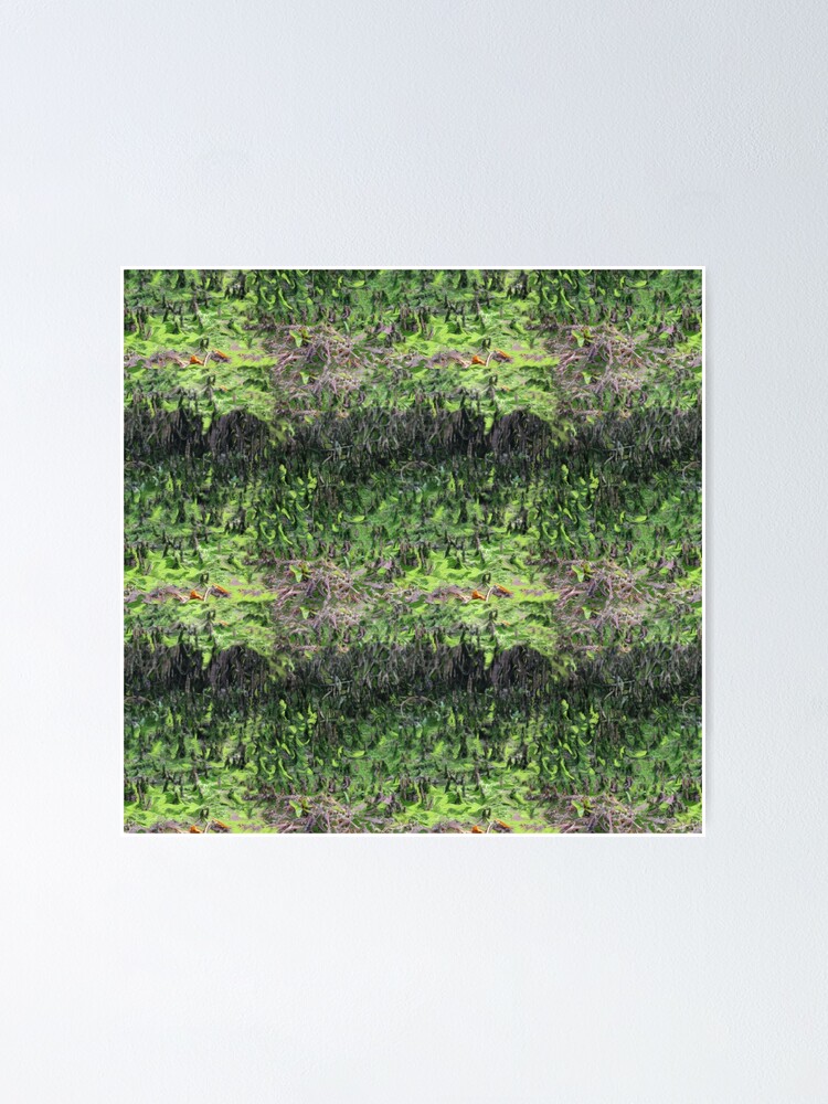 "everglades" Poster for Sale by silvanasoriano | Redbubble