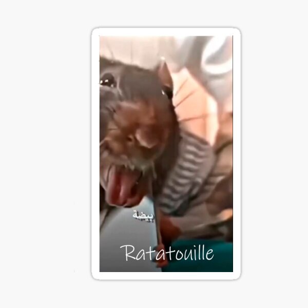 "Ratatouille burping rat" Sticker for Sale by IonutR5 | Redbubble