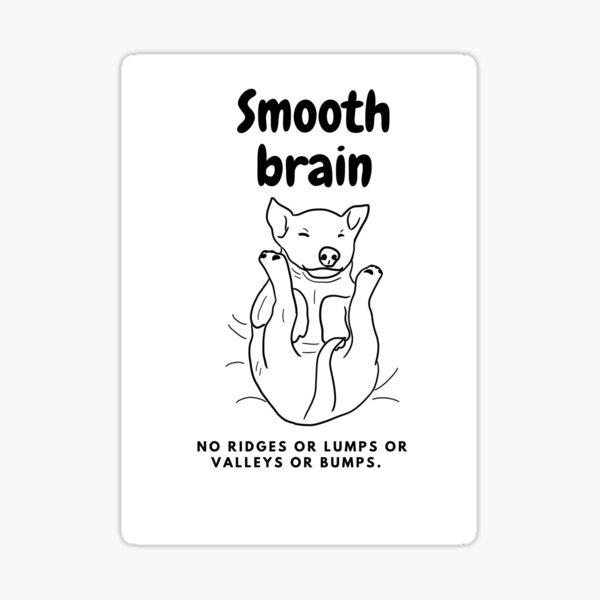 "Smooth brain meme" Sticker for Sale by Nirrvana92 | Redbubble