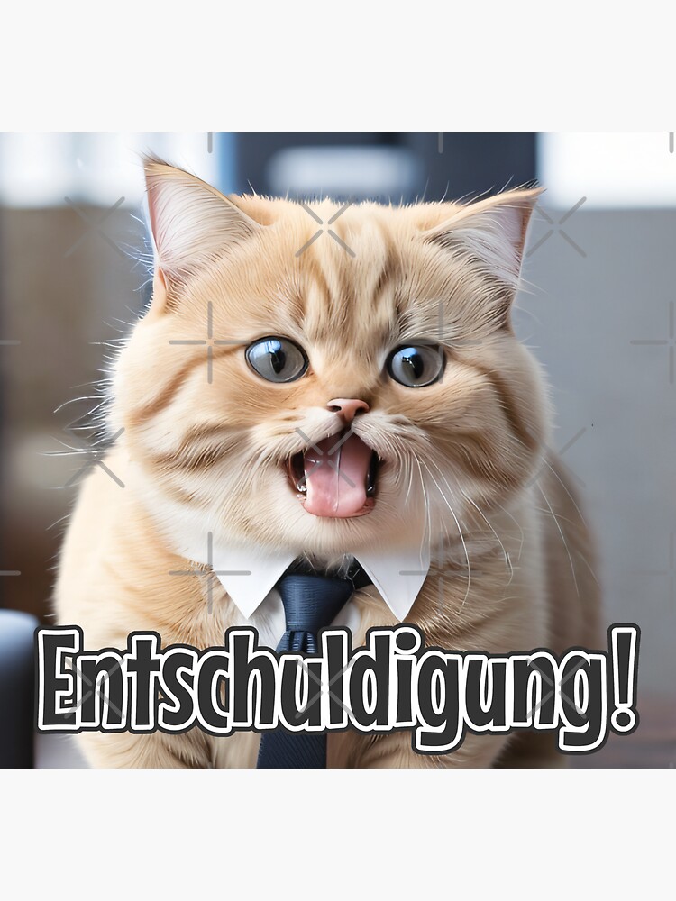 "KI-generierte Katze 02 "Entschuldigung"" Sticker for Sale by Cliff-Qi | Redbubble
