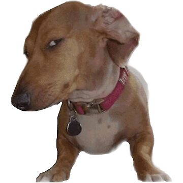 "Suspicious Dog" Sticker for Sale by Lizgzalez | Redbubble