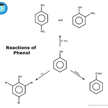 "The Reactions of Phenol" Poster for Sale by UnitedChemDom | Redbubble
