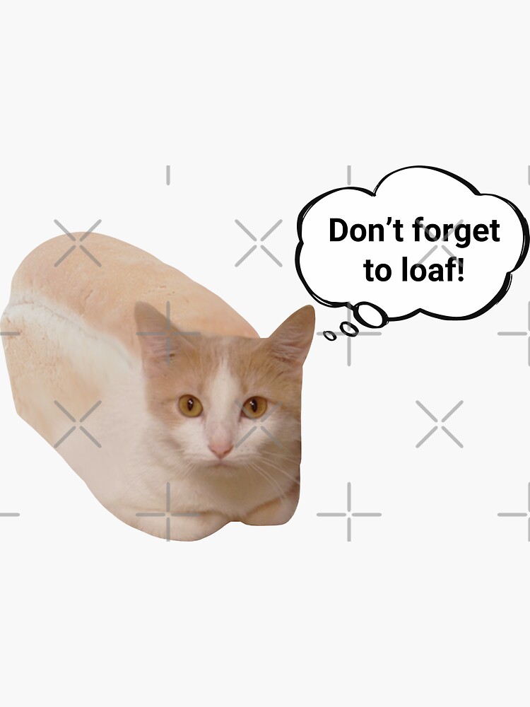 Kitty Loaf Memes The Cat Meme By RSim914 :) Memedroid