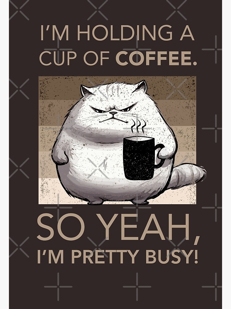 Chat Grincheux Oui Meme Le Célèbre Chat Grincheux Grumpy Cat à La
