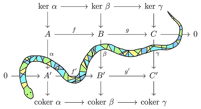 "Snake Lemma" by GTMemes | Redbubble