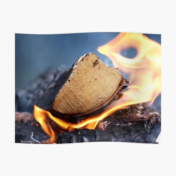 "Fireplace" Poster for Sale by ArveBettum | Redbubble