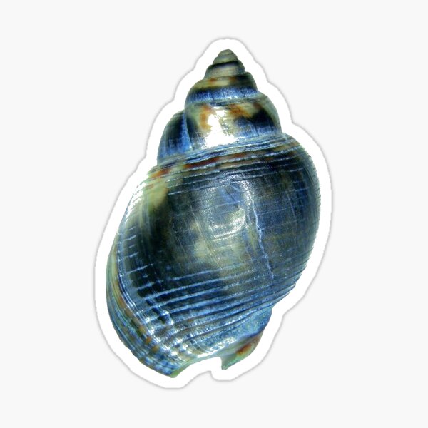 "Blue Shell" Sticker for Sale by girlonmarz | Redbubble