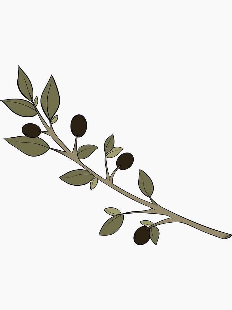 "Olive branch" Sticker for Sale by Drawingsnake | Redbubble