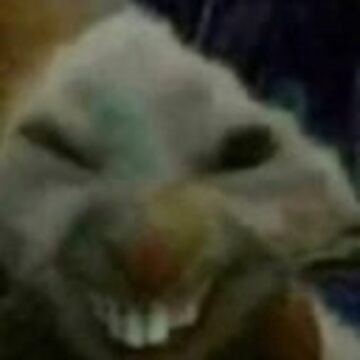 "xdx funny cat emote emoji" Sticker for Sale by expertgroup | Redbubble