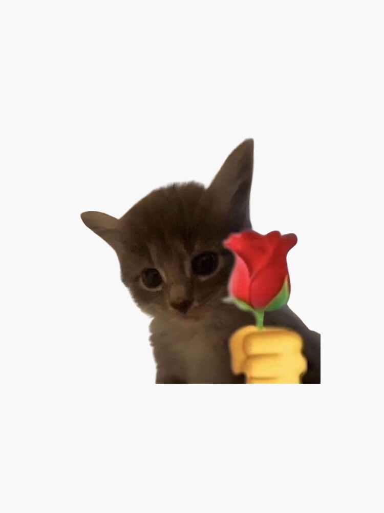 "silly cat rose cutout cat cute sticker" Sticker for Sale by senastudio ...
