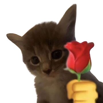 "silly cat rose cutout cat cute sticker" Sticker for Sale by senastudio ...