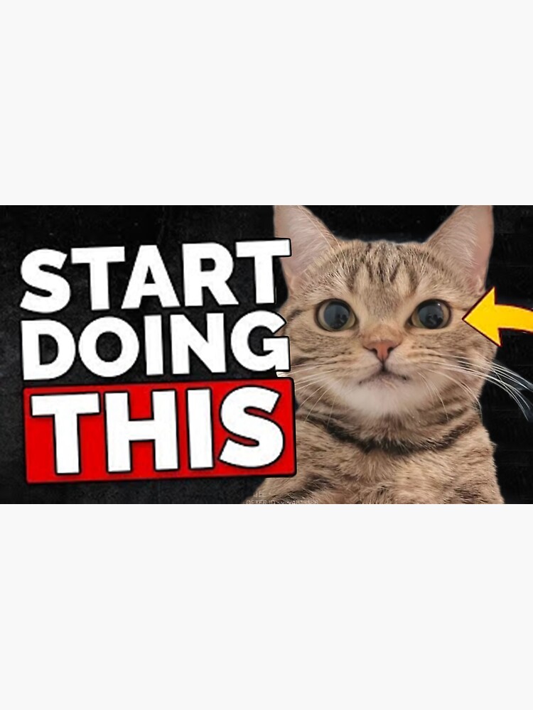 "Start Doing This Mewing Cat Face" Sticker for Sale by born2buyshirts ...