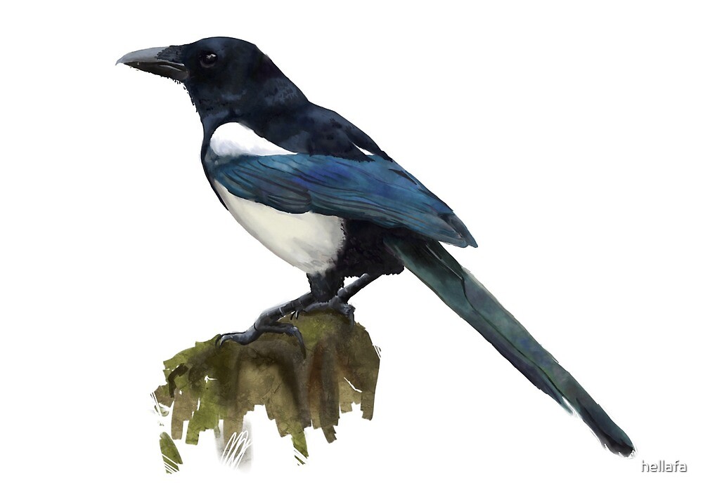 "Good Morning Mr. Magpie" by hellafa | Redbubble