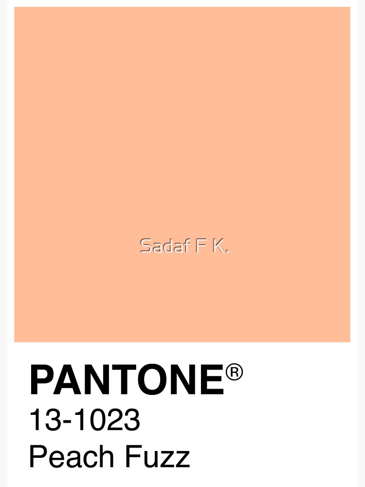 "Pantone Peach Fuzz Color of the year 2024" Sticker for Sale by Sadaf F ...