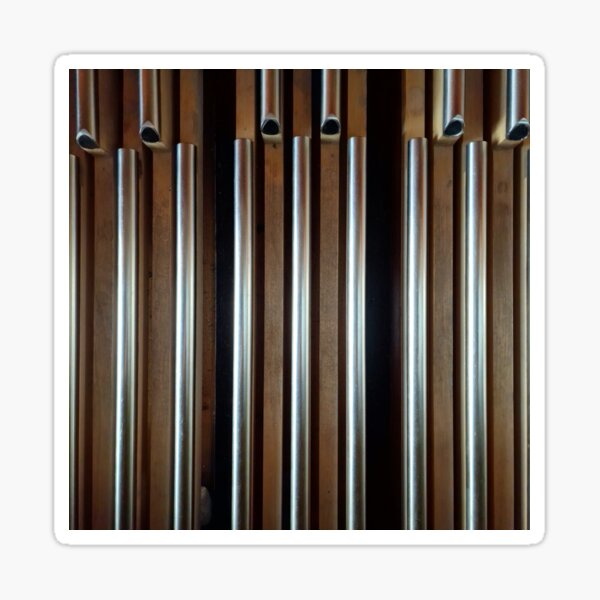 "Small Organ Detail" Sticker for Sale by Gaboro | Redbubble