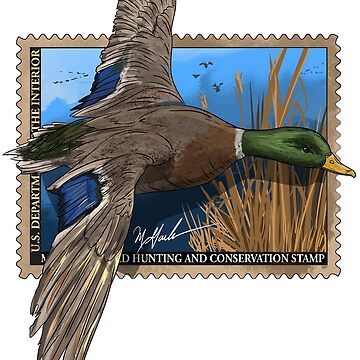 "Drake Mallard Stamp " Sticker for Sale by Michael Garber | Redbubble