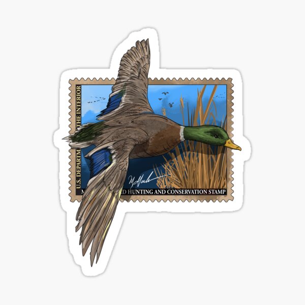 "Drake Mallard Stamp " Sticker for Sale by Michael Garber | Redbubble