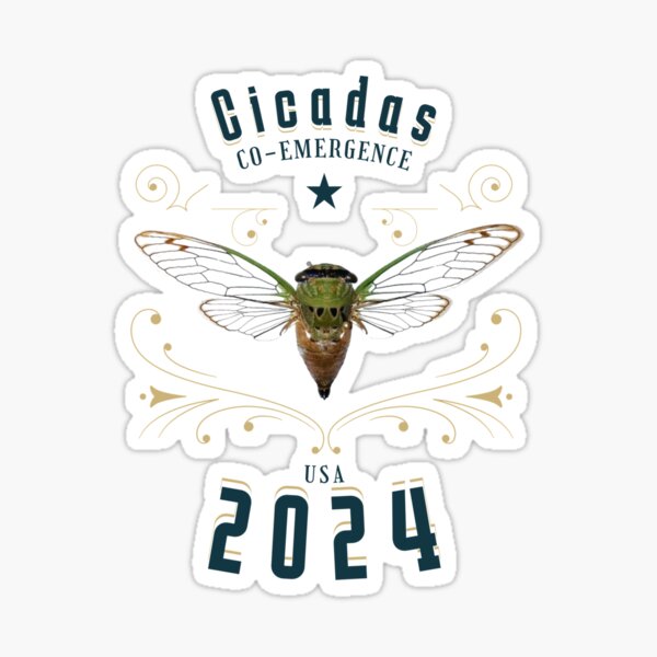 "Cicadas Co-Emergence USA 2024 Rare Brood XIII & Brood XIX" Sticker for ...