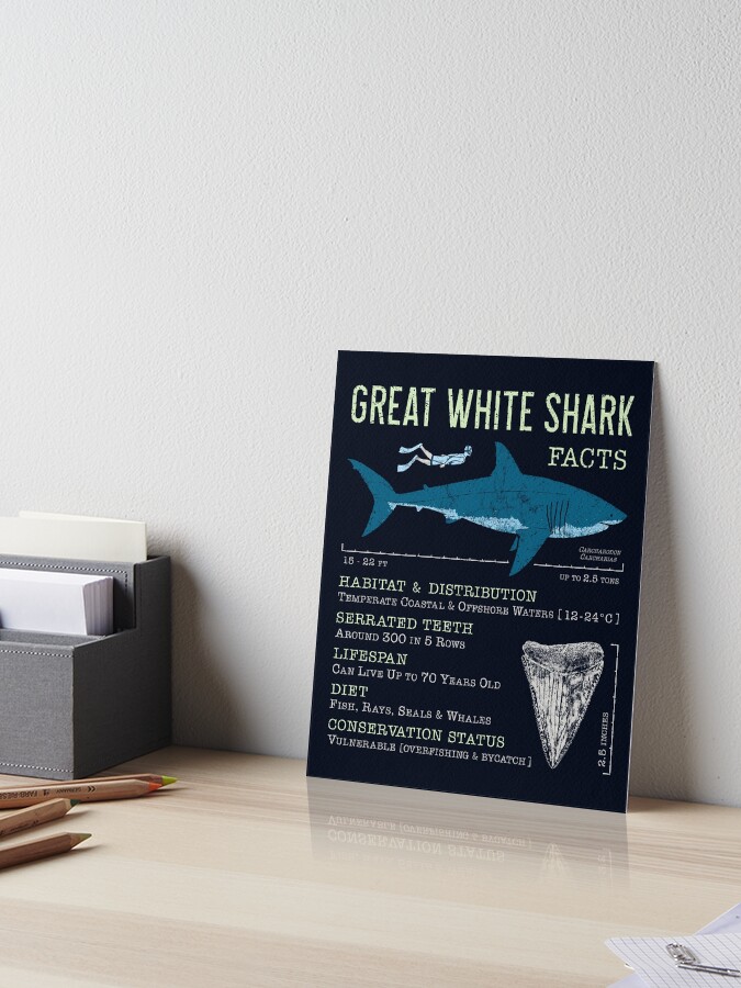 "Great White Shark Facts" Art Board Print for Sale by IncognitoMode ...