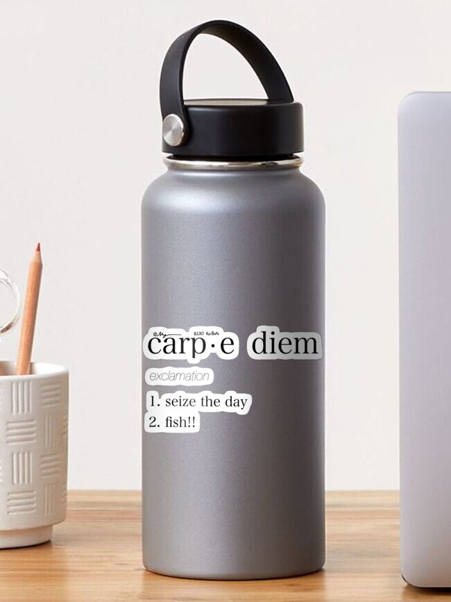 ""Carp-e Diem" Definition Pun" Sticker for Sale by KoiBots | Redbubble