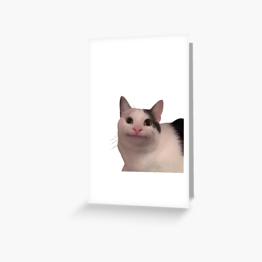 "Real Beluga Meme Cat" Sticker for Sale by deadlock41 | Redbubble